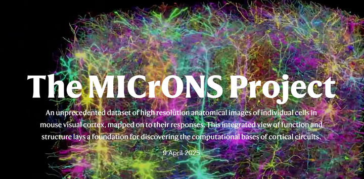 神经科学论文推荐(8)-视觉皮层神经环路/计算模型 - 知乎