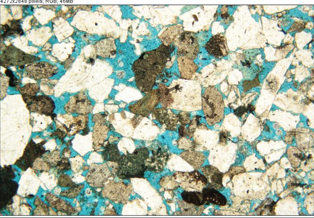 Imagej图像处理实践（ImageJ学习-图像处理 545367350） - 知乎