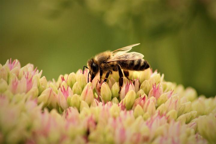 Java Enum 枚举使用教程 - 知乎