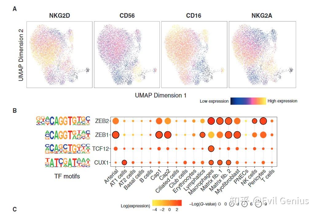 单细胞多组学（RNA + ATAC）联合分析的智慧 - 知乎