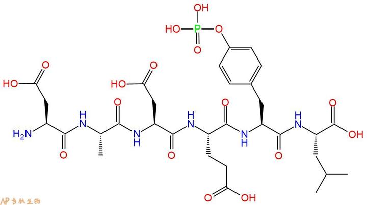 磷酸化多肽[pTyr5] EGFR (988-993)|159453-08-4|DADE-pTyr-L - 知乎