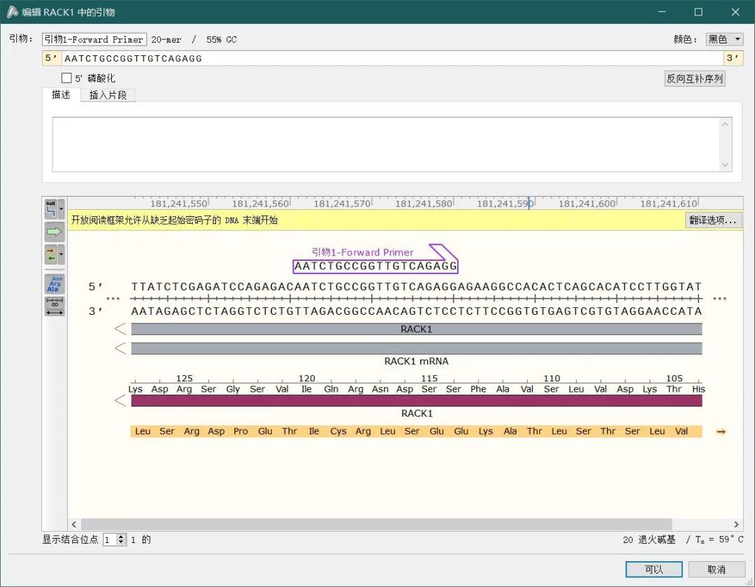 SnapGene Viewer软件序列可视化操作 - 知乎