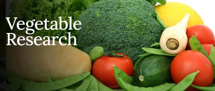 Vegetable Research获得首个影响因子2.8，位列园艺学期刊Q1区 - 知乎