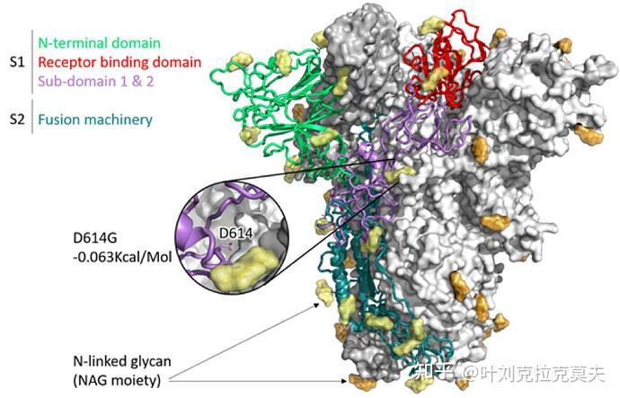 分子图形学简史15 – 沃伦·德拉诺和PyMOL - 知乎