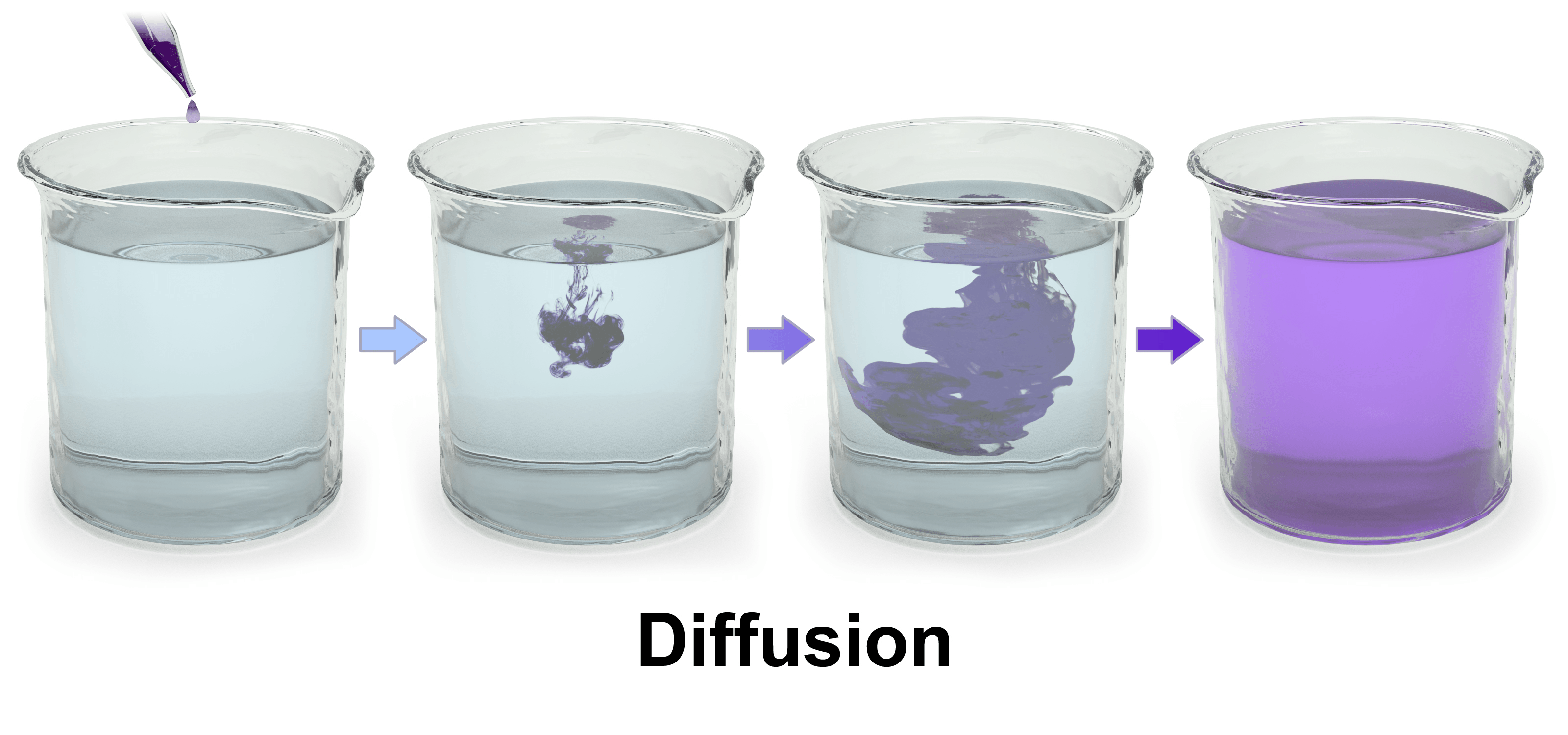 Diffusion的前向过程是怎样的？ - 知乎