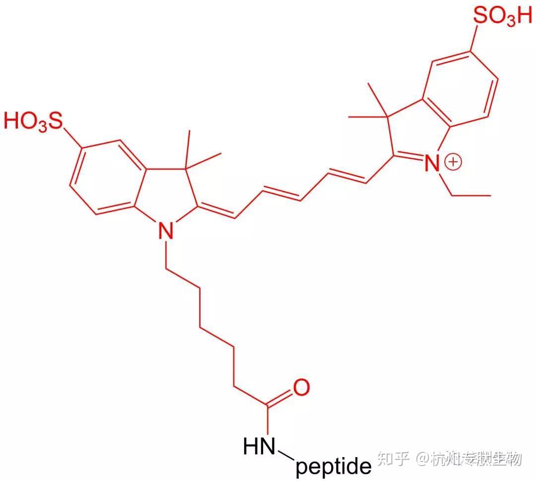 荧光标记肽(AMC、FAM、FITC)的原理 - 知乎