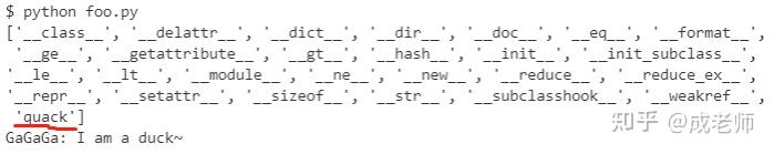 【Python】Python中的@overload装饰器 - 知乎