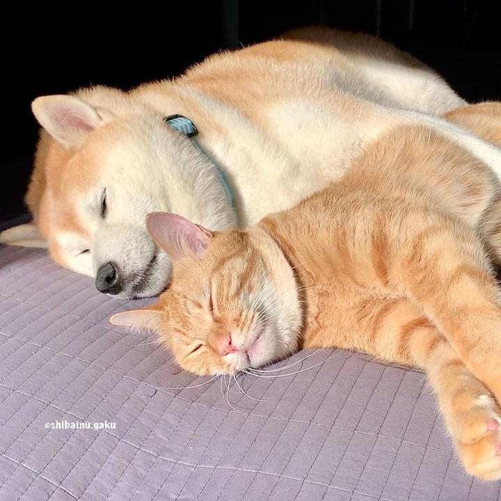 基于LMI的控制系统设计与分析/代数Riccati不等式 - 知乎