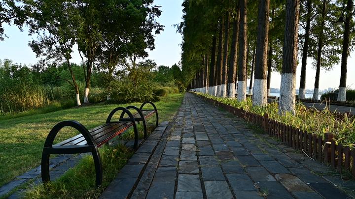 Java注解（4）：一个真实的Elasticsearch案例 - 知乎