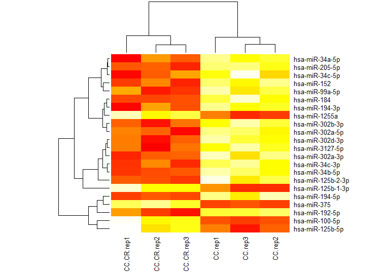 【R语言】热图绘制-heatmap函数+默认配色方案 - 知乎