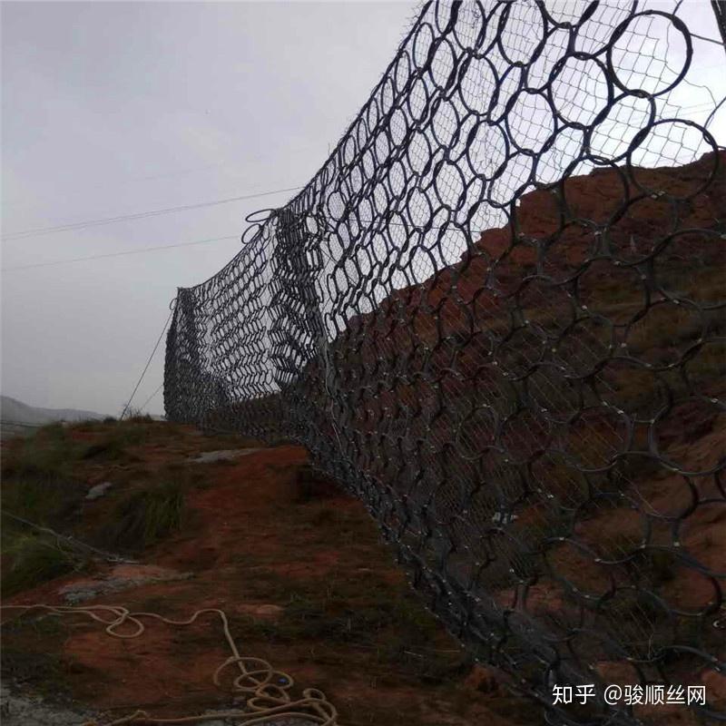 RXI-075被动环形网 - 知乎