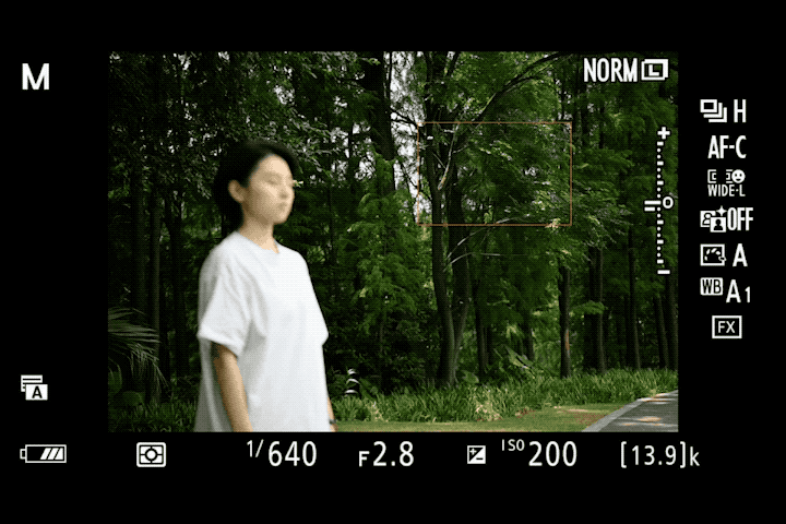 【a7club实战为王系列】唯卓仕 NF-Z 自动对焦转接环评测 - 知乎