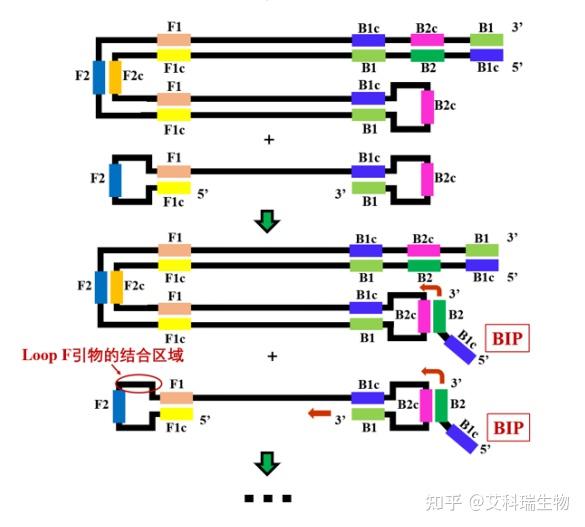 来了来了，全方面get—— LAMP技术 - 知乎