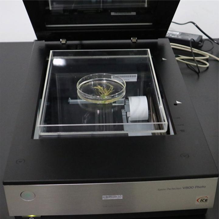 WinRHIZO植物根系分析系统 - 知乎
