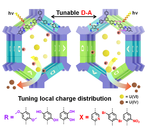 马胜前教授与华北电力大学王祥科教授团队合作Angew：调控多组分COFs中局部电荷分布在光催化提取铀中的新突破 - 知乎