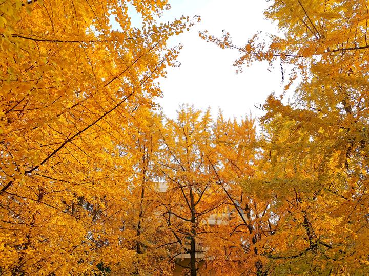 探索 ThrottleStop 软件中的 Clock Mod 参数 - 知乎