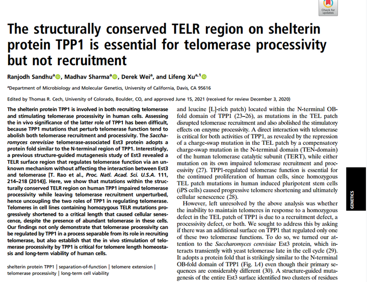 【文献翻译】shelterin蛋白TPP1上结构保守的TELR区对端粒酶的持续活性而非募集是必需的 - 知乎