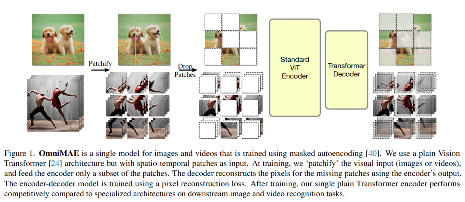 MIM（Masked Image Modeling） - 知乎