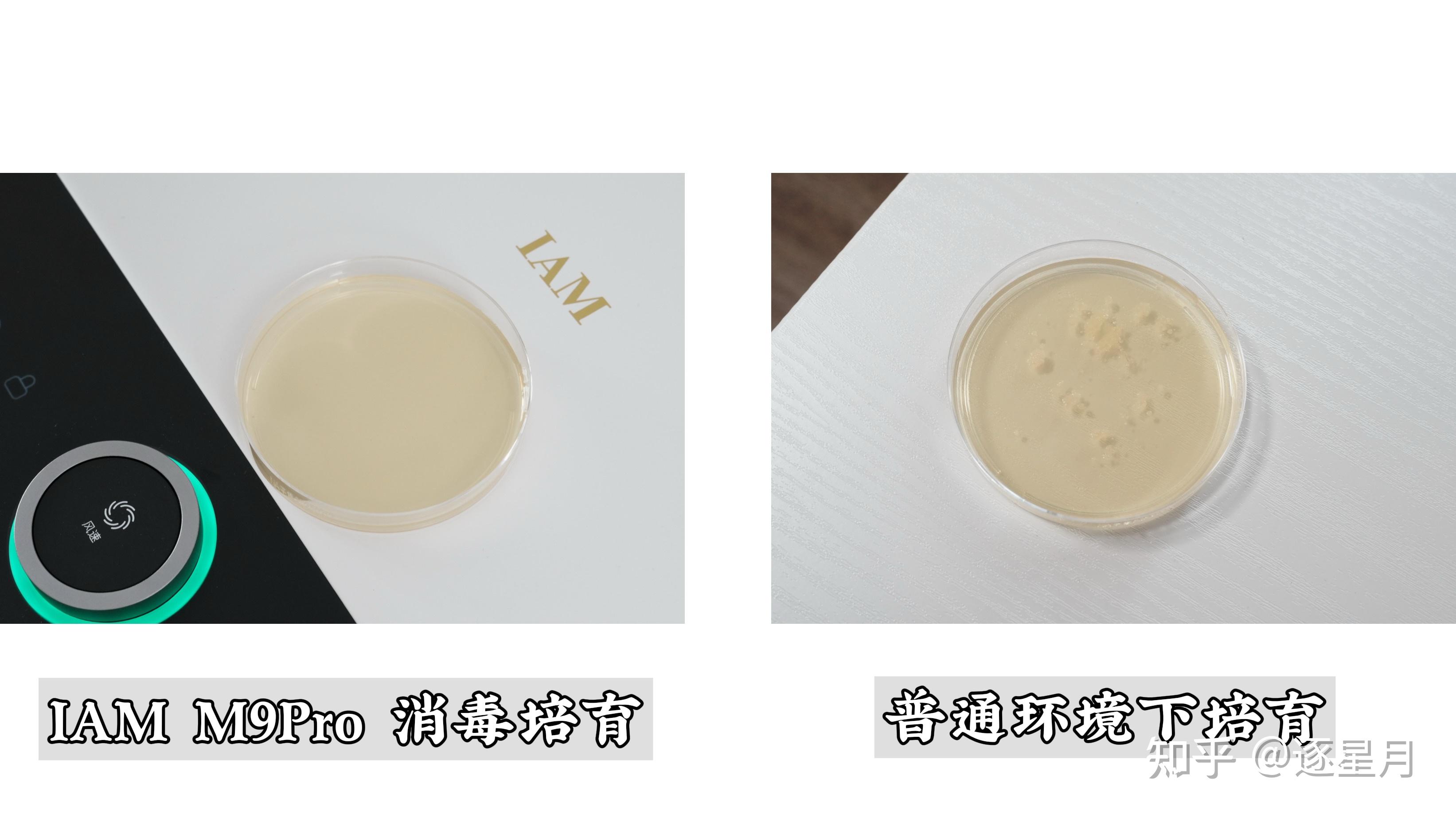 空气净化器居然内卷到终身免耗材了？！自费3W+实测新品爆款IAM M9Pro对比全网热门型号，618闭眼入不踩雷 - 知乎
