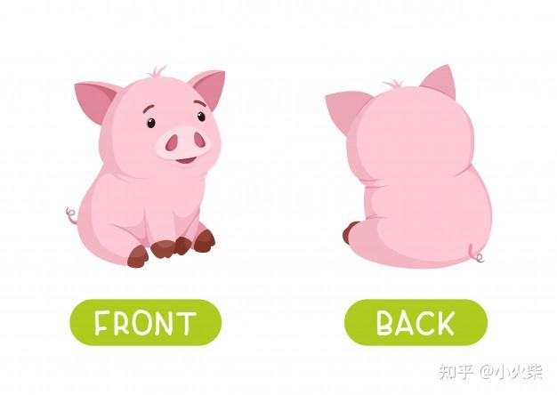 英语中表示“前后”的形容词副词——front、rear、back、ago、former、latter - 知乎