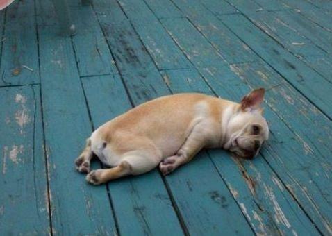 Call one names不是叫某人名字，真正的意思其实是 - 知乎