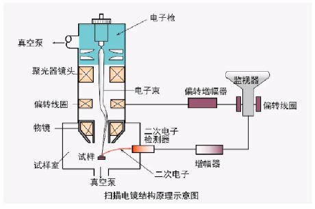 SEM---1 SEM的基本原理及应用 - 知乎