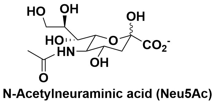 cas：131-48-6|N-Acetylneuraminic acid (Neu5Ac)|N-乙酰神经氨酸 - 知乎