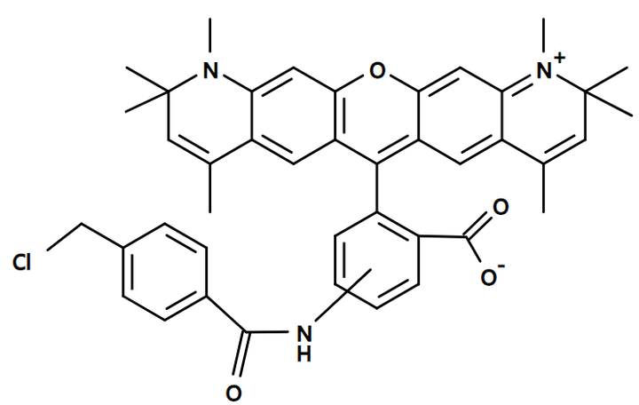 Cell-Tracker Red CMTPX，活细胞示踪探针（红色），发射波长为602 nm - 知乎