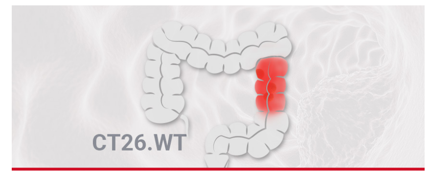 基因编辑CT26.WT细胞系——结肠癌研究与治疗的神奇途径 |源井生物