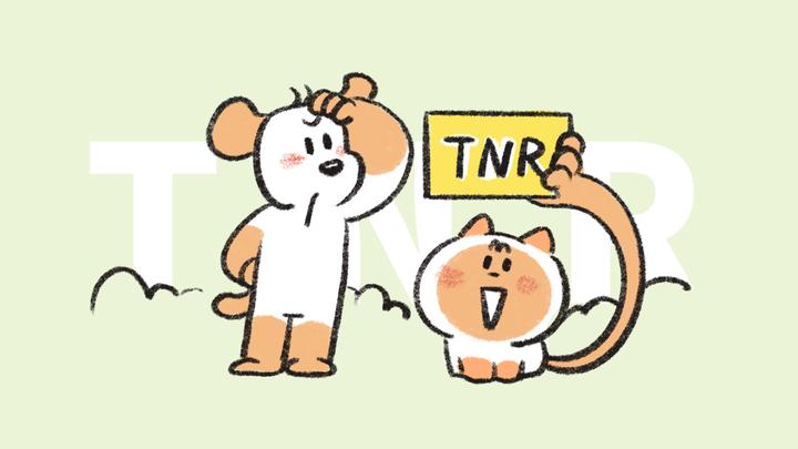 TNR到底是什么？真能帮助流浪毛孩子吗？ - 知乎