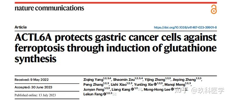 FI 16+铁死亡研究深度解读 | ACTL6A或是胃癌治疗新靶点 - 知乎