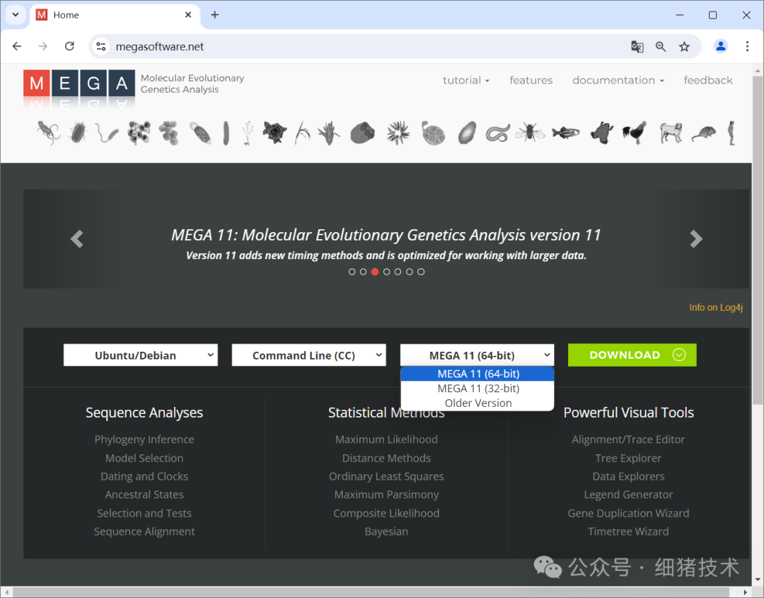 MEGA-CC程序使用方法 - 知乎