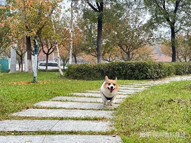 荣耀Magic4升级MagicOS 7.0亲身体验，老用户放心升级！ - 知乎