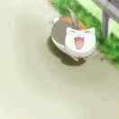 分子对接2_使用Zdock进行两个蛋白的分子对接 - 知乎