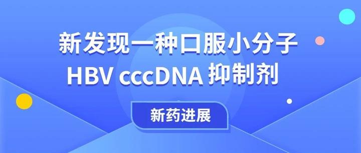 【新药进展】新发现一种口服小分子HBV cccDNA抑制剂 - 知乎