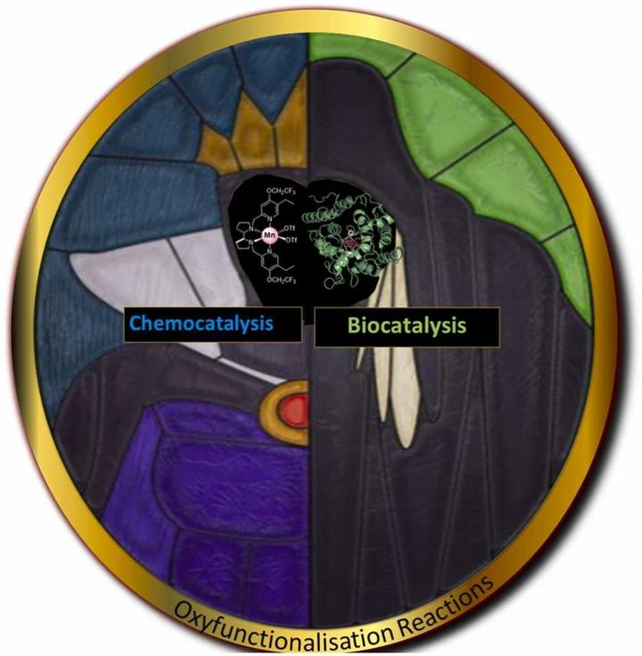 Green Carbon绿碳 │ 荷兰代尔夫特理工大学Frank Hollmann教授综述：化学和生物催化的氧官能化反应，谁更绿色？ - 知乎