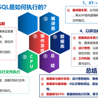 CLIP模型（Contrastive Language-Image Pretraining）详解 - 知乎