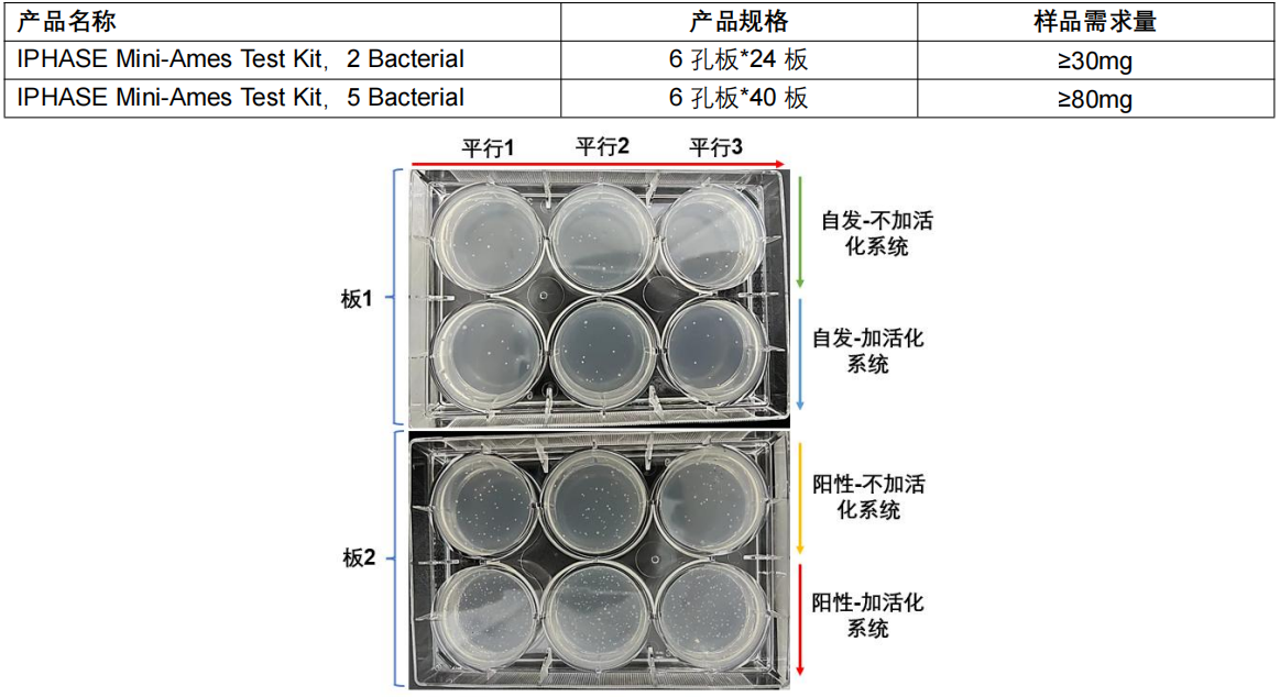 IPHASE/汇智和源新品推介 | Mini-Ames试剂盒 - 知乎