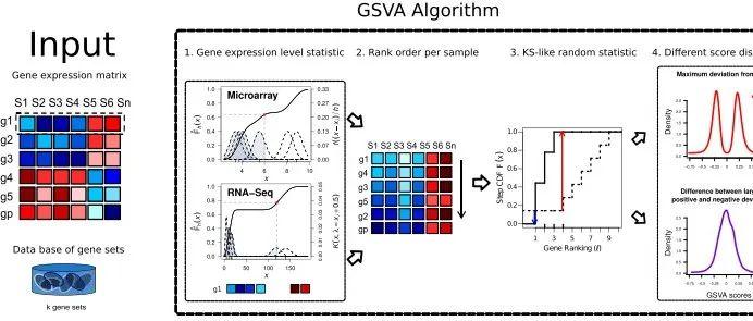 RNA 18. SCI 文章中基因集变异分析 GSVA - 知乎