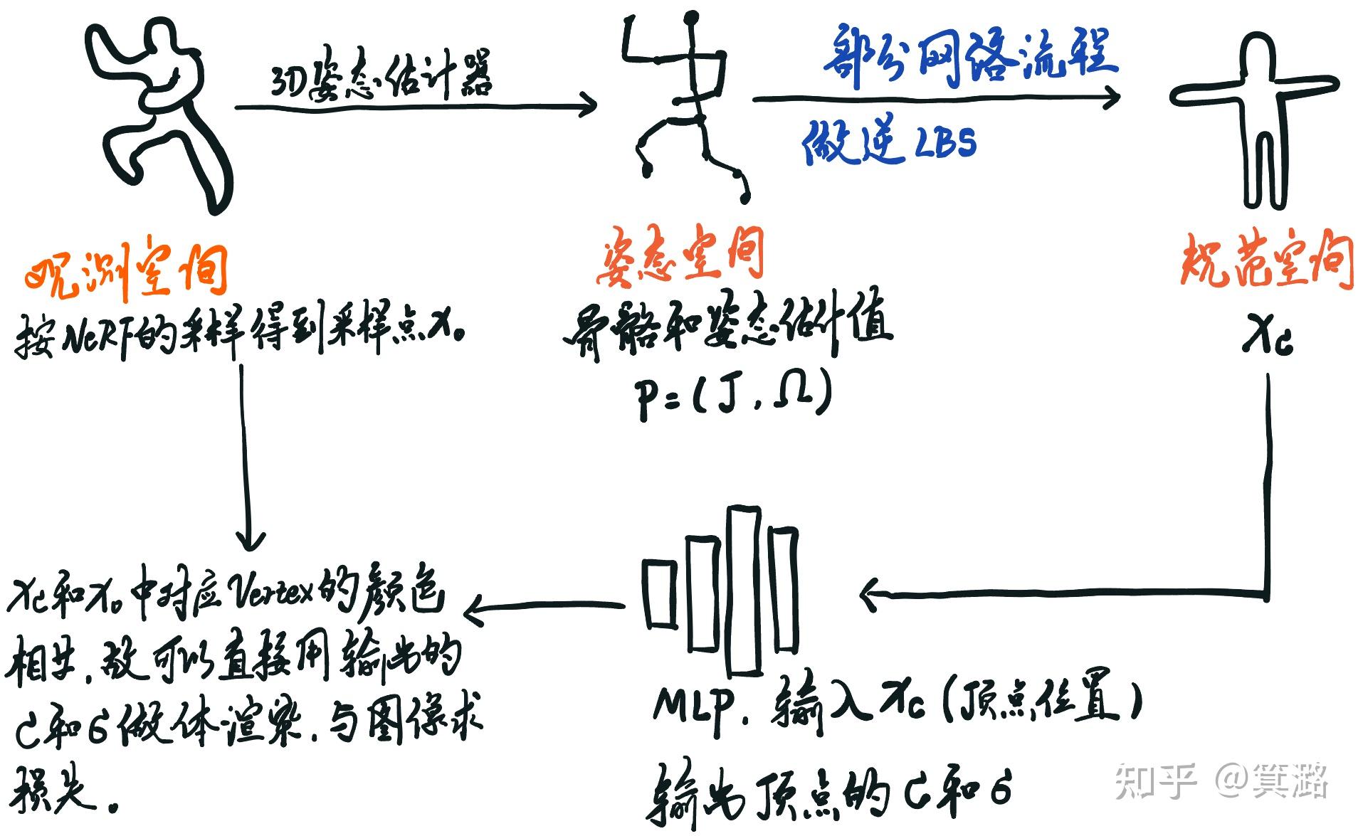 Human-NeRF详细理解：从LBS到Human-NeRF - 知乎