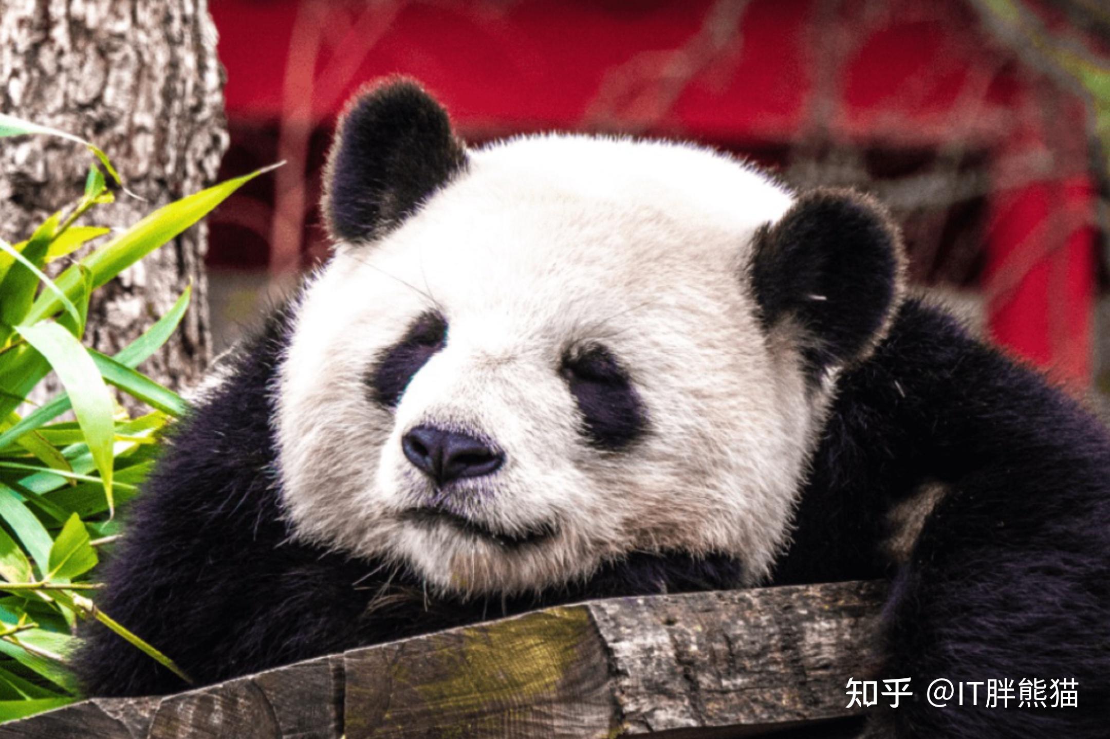 M4L1-4——K Means Clustering - 知乎