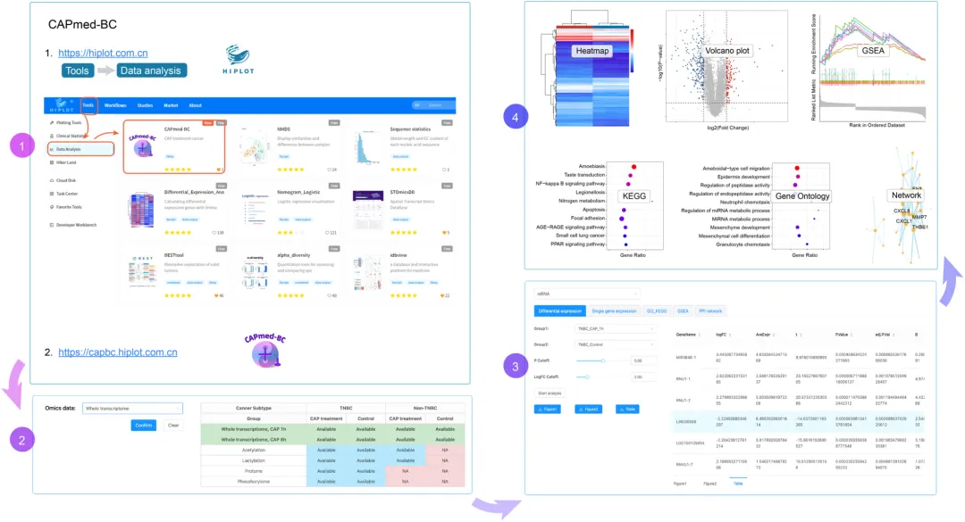 填补空白！iMeta | 西安交大绘制首个等离子体治疗乳腺癌的多组学数据图谱 - 知乎