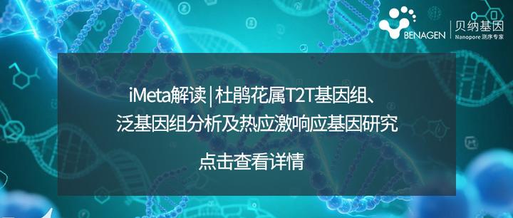 iMeta解读 | 杜鹃花属T2T基因组、泛基因组分析及热应激响应基因研究 - 知乎