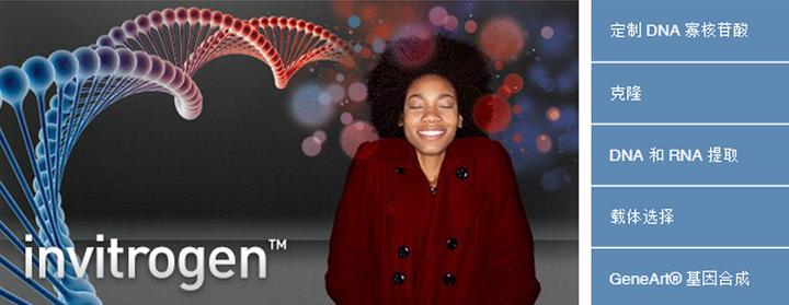 Invitrogen简介 - 知乎