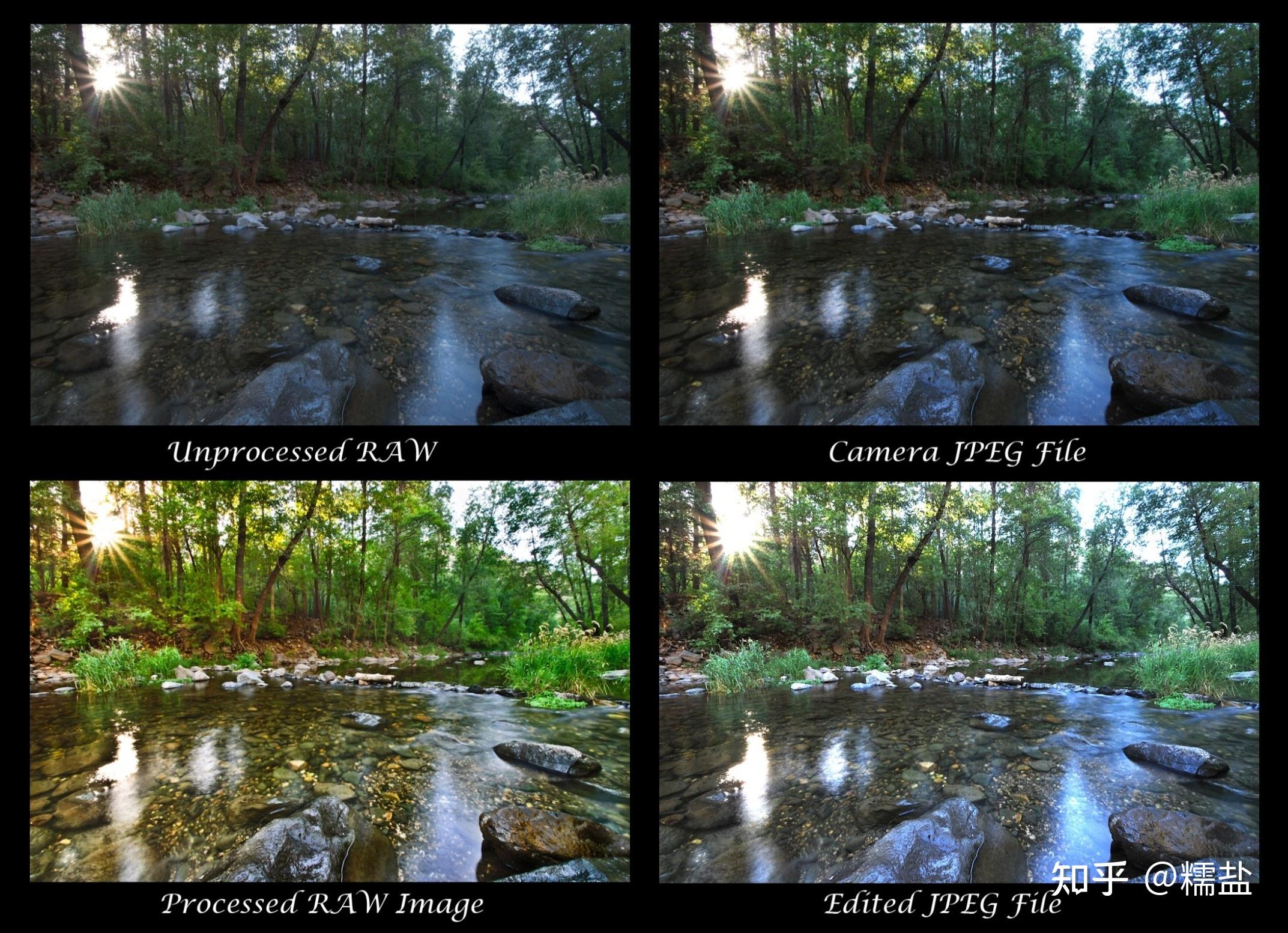 RAW训练与RAW Photography - 知乎