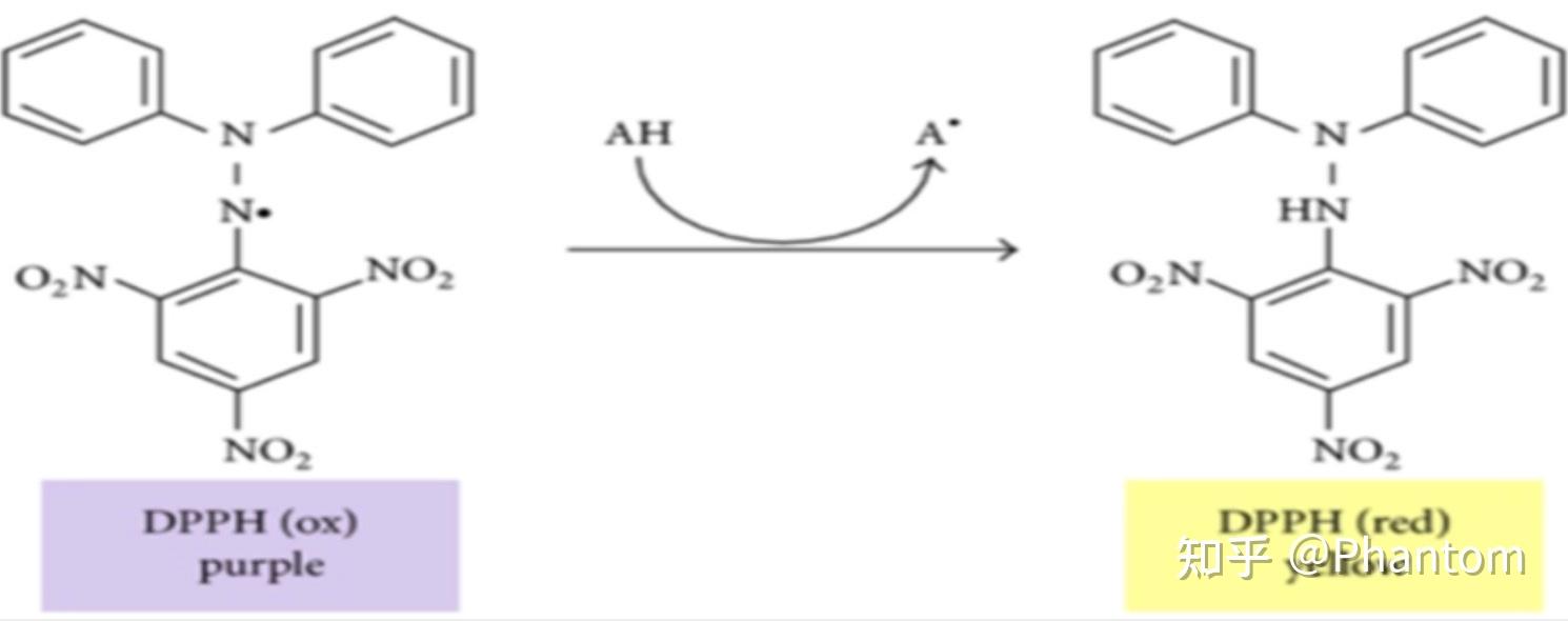 DPPH自由基清除率实验 对照组？ - 知乎