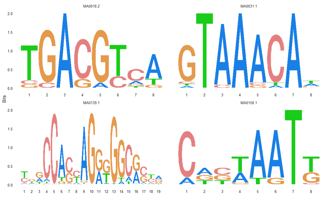 R可视化——ggseqlogo包绘制序列分析图 - 知乎