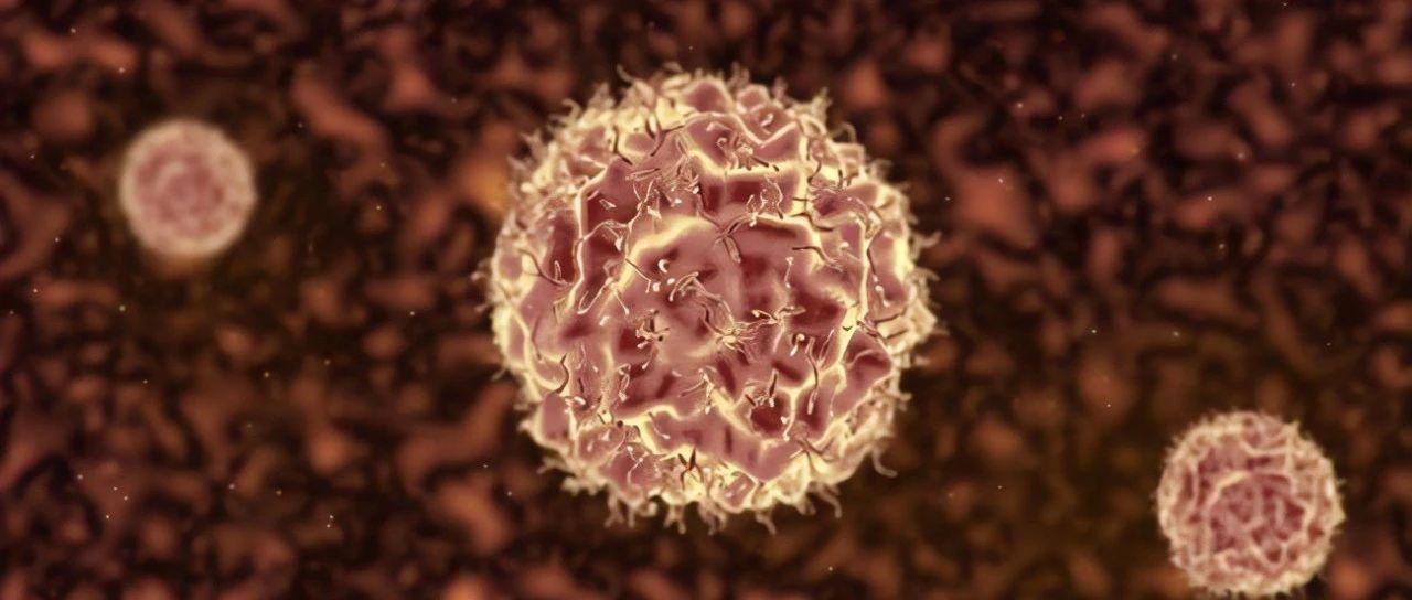 Nat Commun｜肿瘤空间转录组数据辅助分析工具——SpaCET，可准确预测细胞空间分布 - 知乎