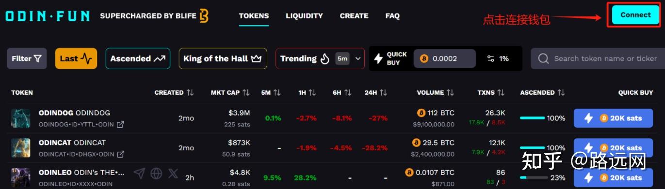 BTC比特币链上的Meme币Pump平台odin.fun上创建及交易代币 - 知乎
