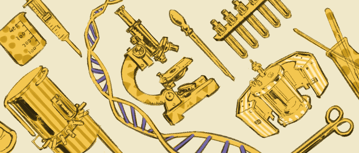 【耀文解读】深度解析mRNA序列元件：Cap, CDS, UTR, polyA - 知乎